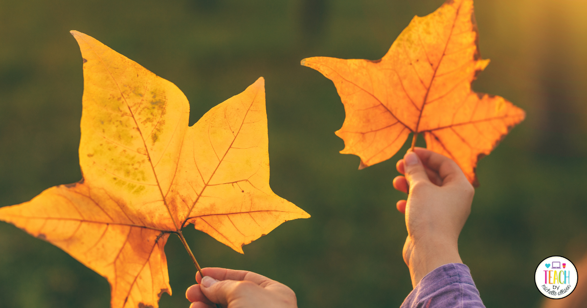 Teach By Michelle Allison- Fall Activities For Classrooms